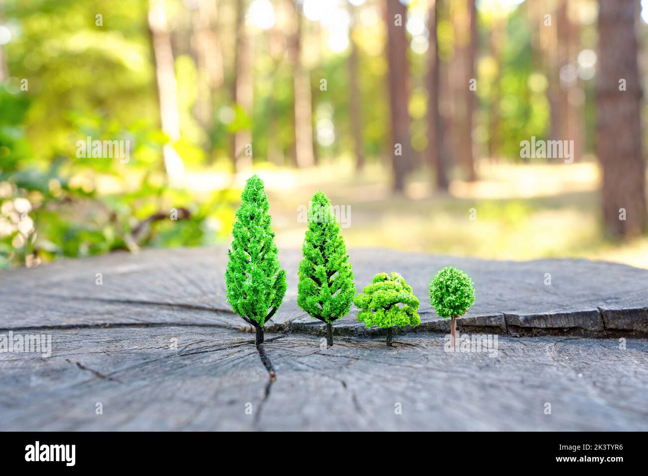 Row of fake miniature trees placed on a real tree stump in the forest ...