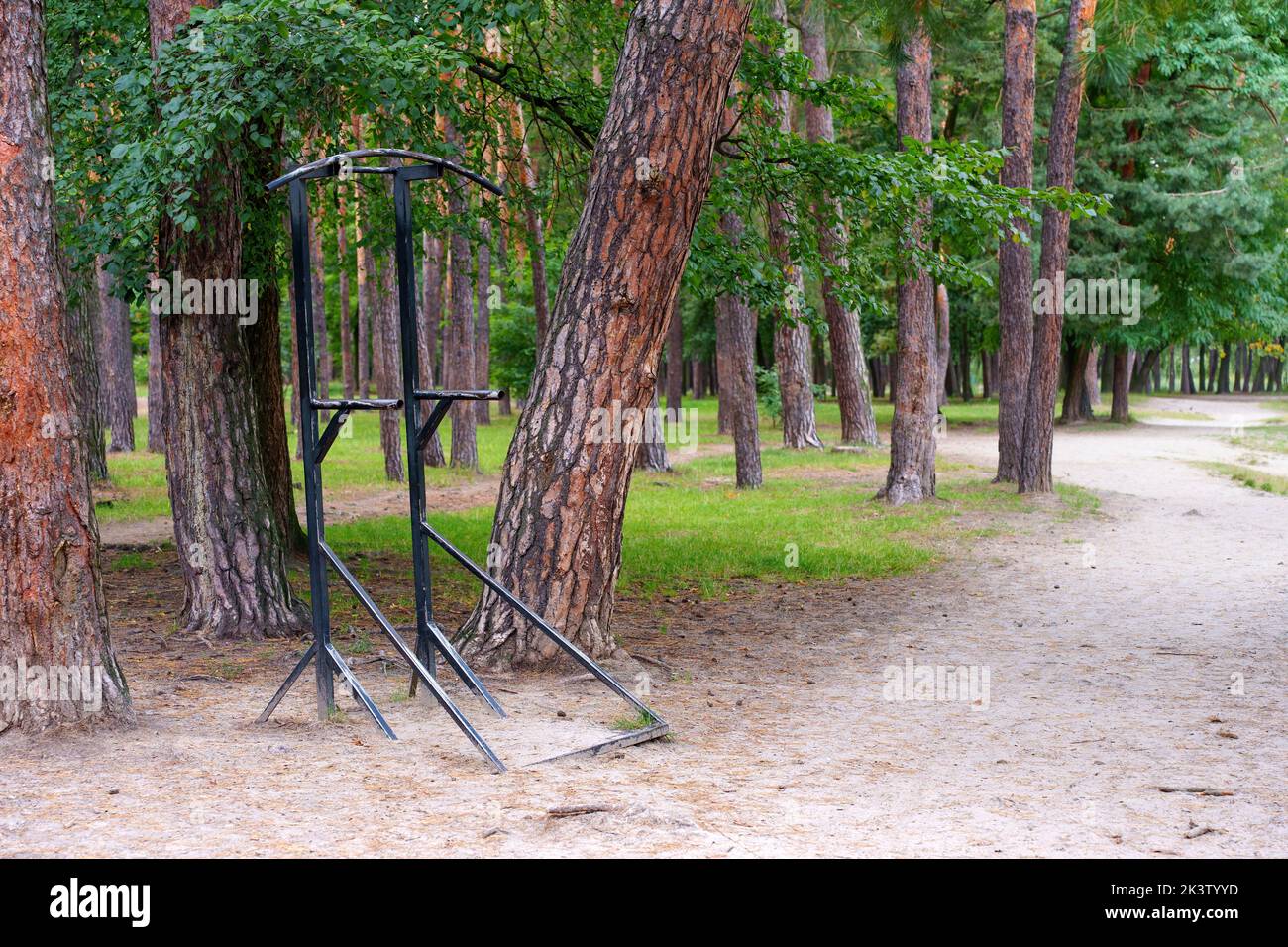 Public pull-up bar and dips stand placed in the forest. Open air ...