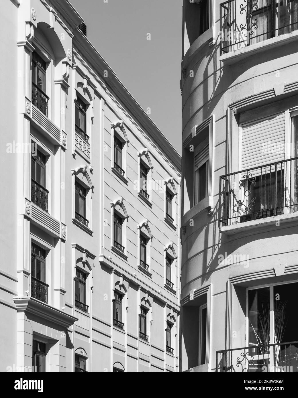 A grayscale of beautiful buildings with windows and balconies ...