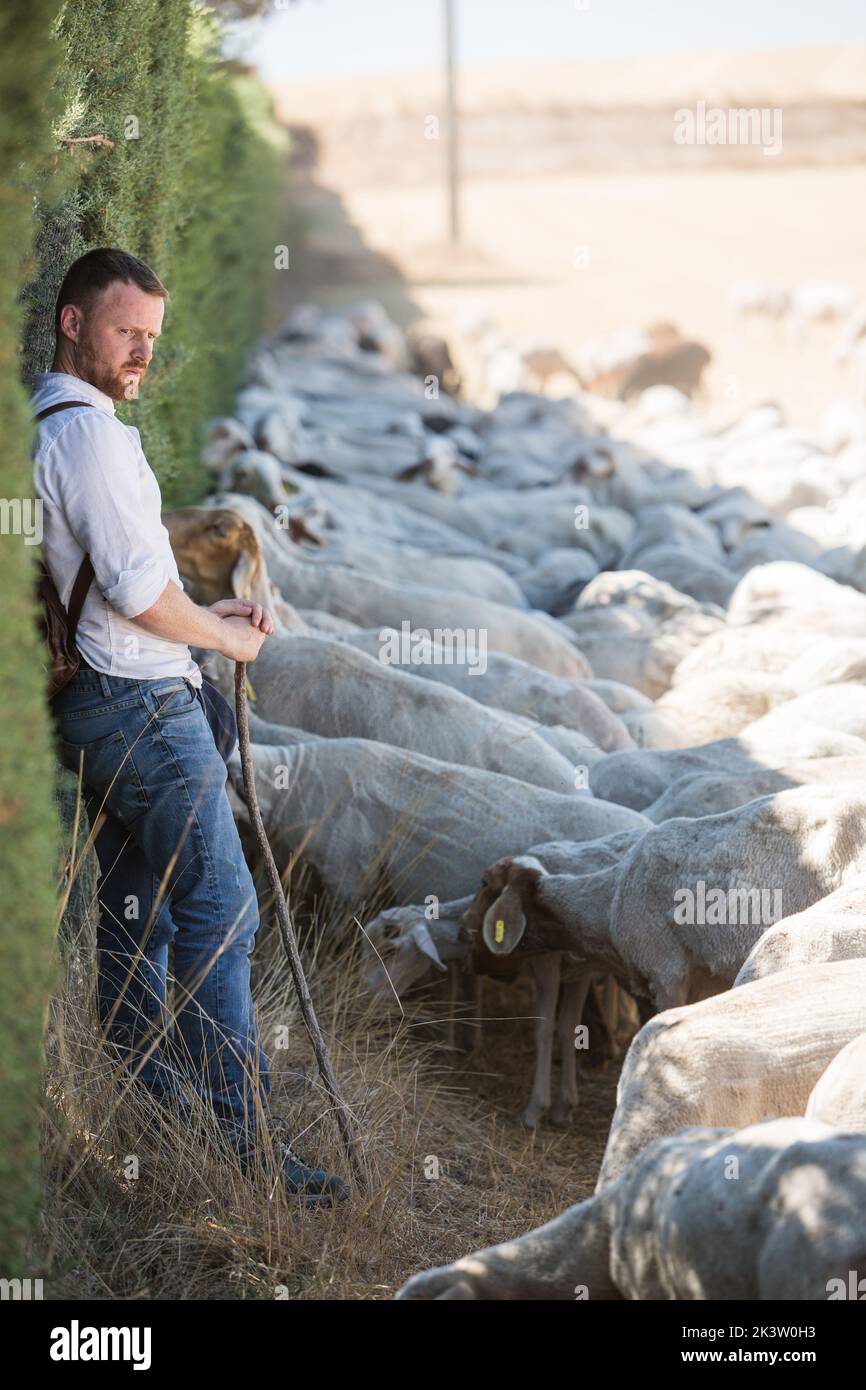 Lean on a stick hi-res stock photography and images - Alamy