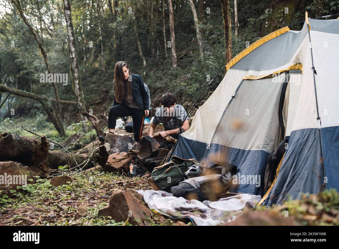 Couple of hikers making bonfire near tent surrounded by trees growing ...