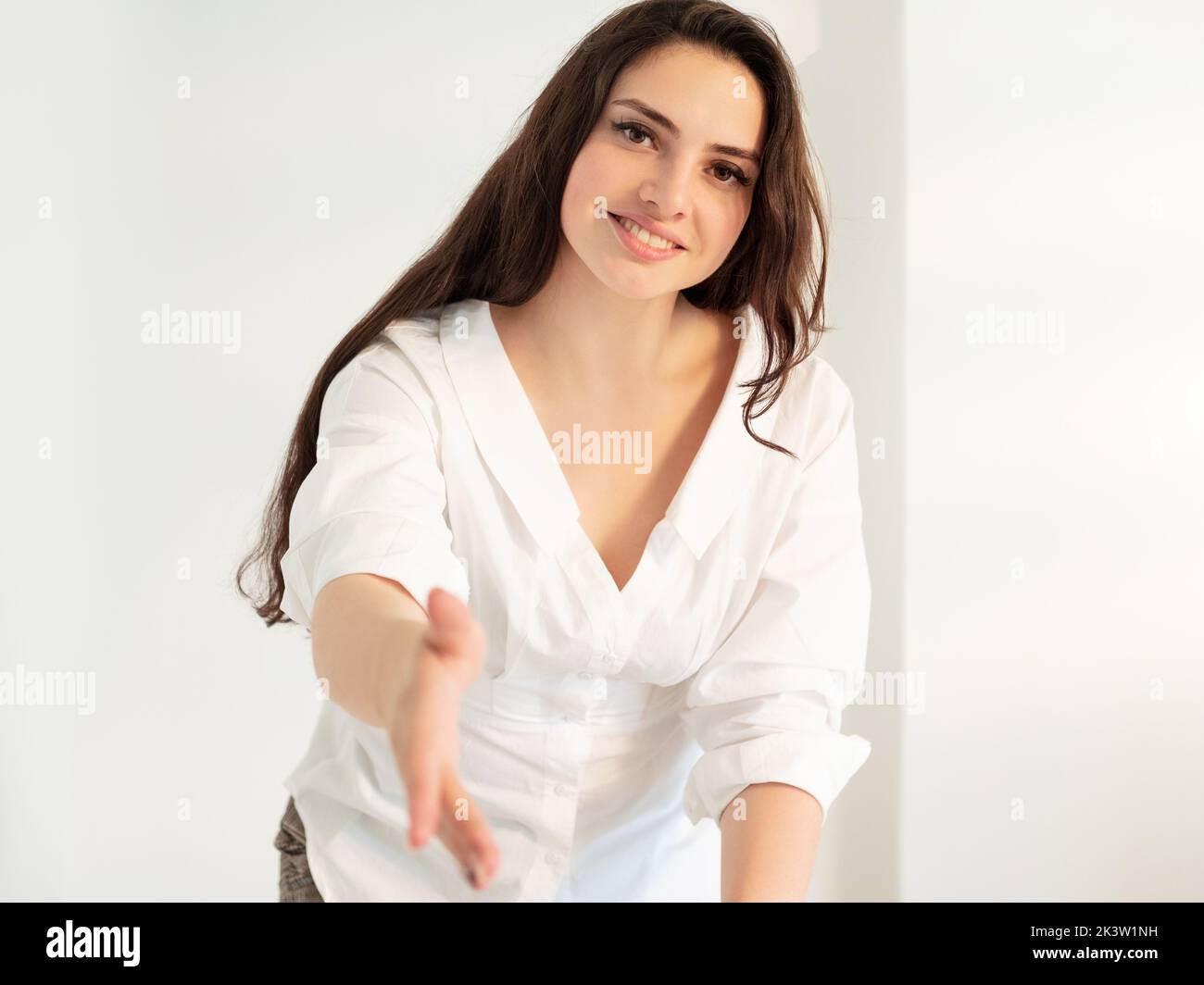 Business meeting. Coaching training. Online conference. Distance work ...