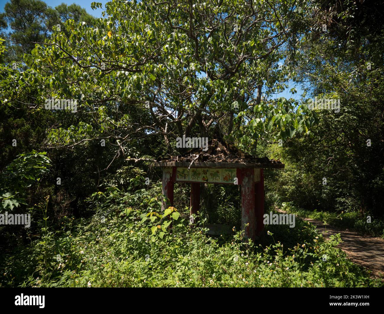 Overgrown pagoda on Taipei hiking trail Stock Photo - Alamy