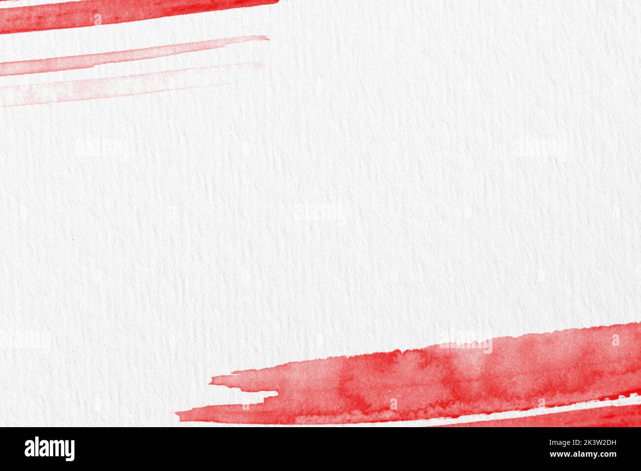 watercolor paper background texture. floral border background in green ...