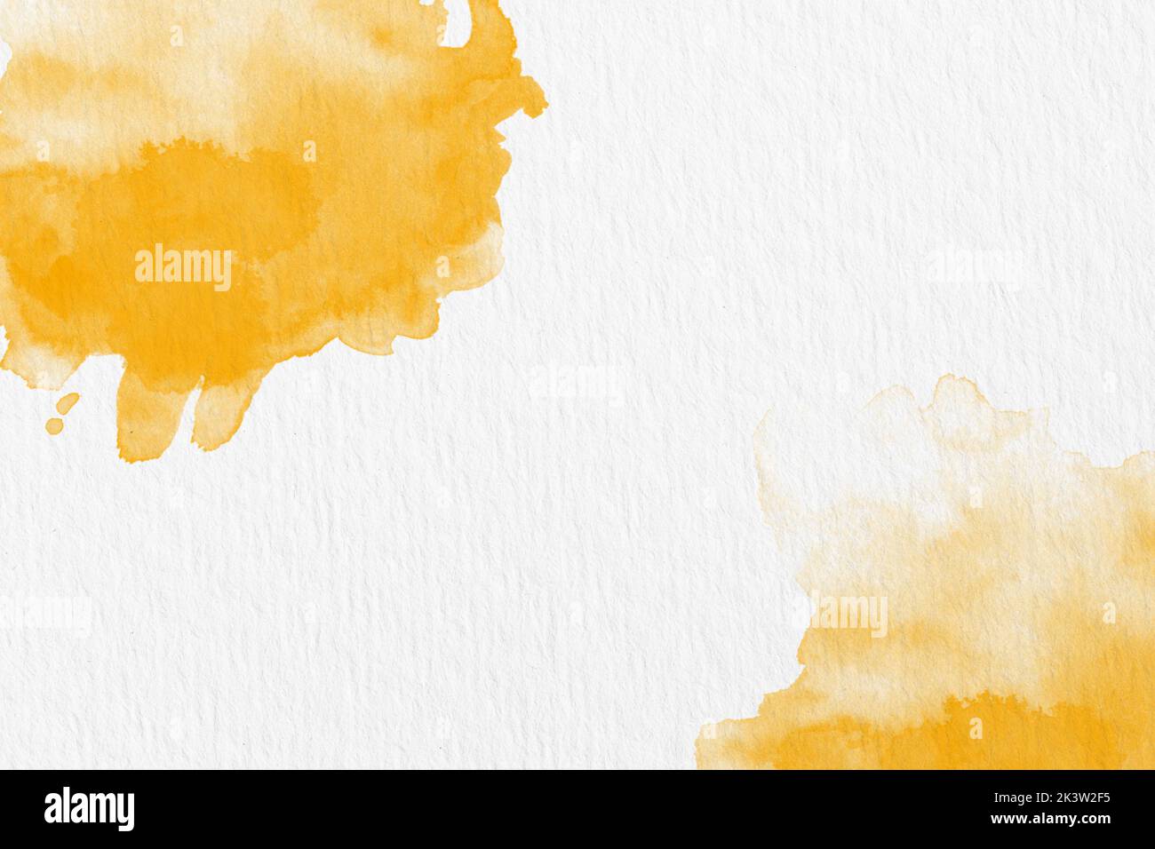 watercolor paper background texture. floral border background in green ...