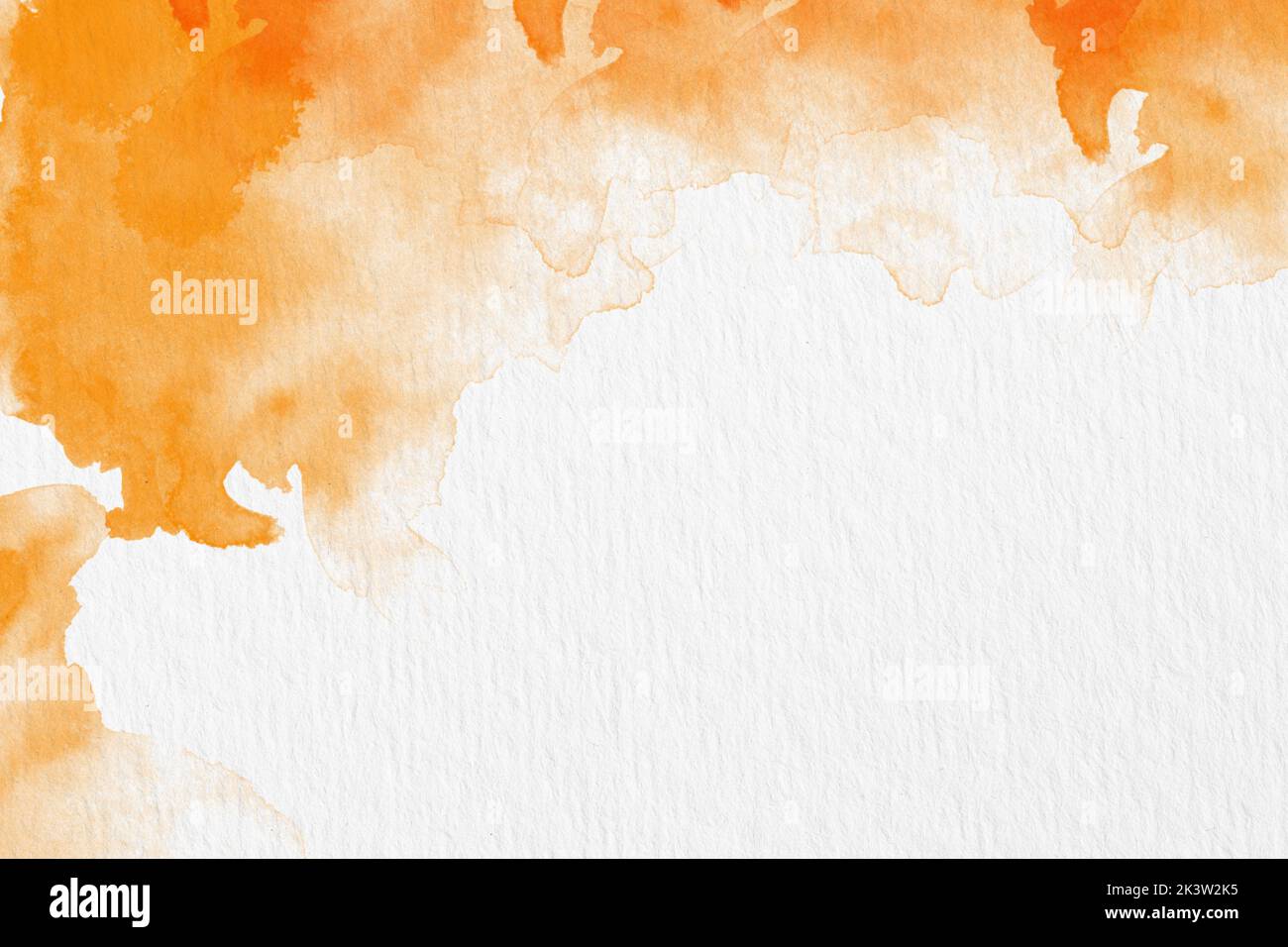 watercolor paper background texture. floral border background in green ...