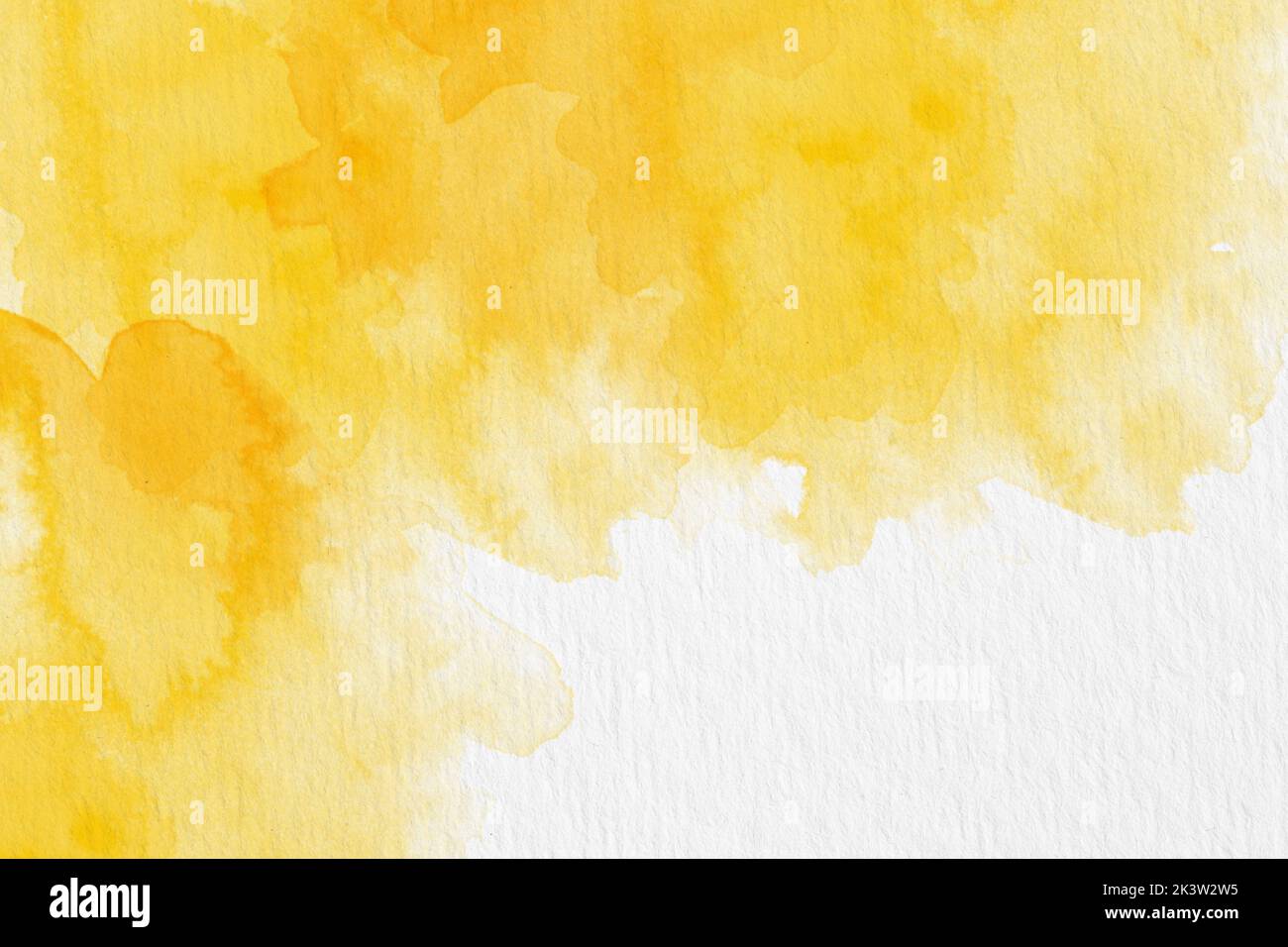 watercolor paper background texture. floral border background in green ...