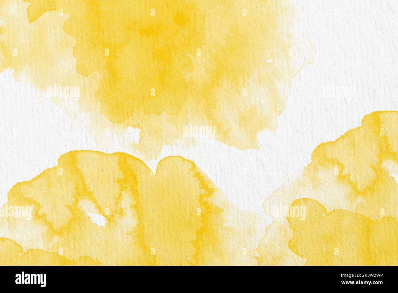 watercolor paper background texture. floral border background in green ...