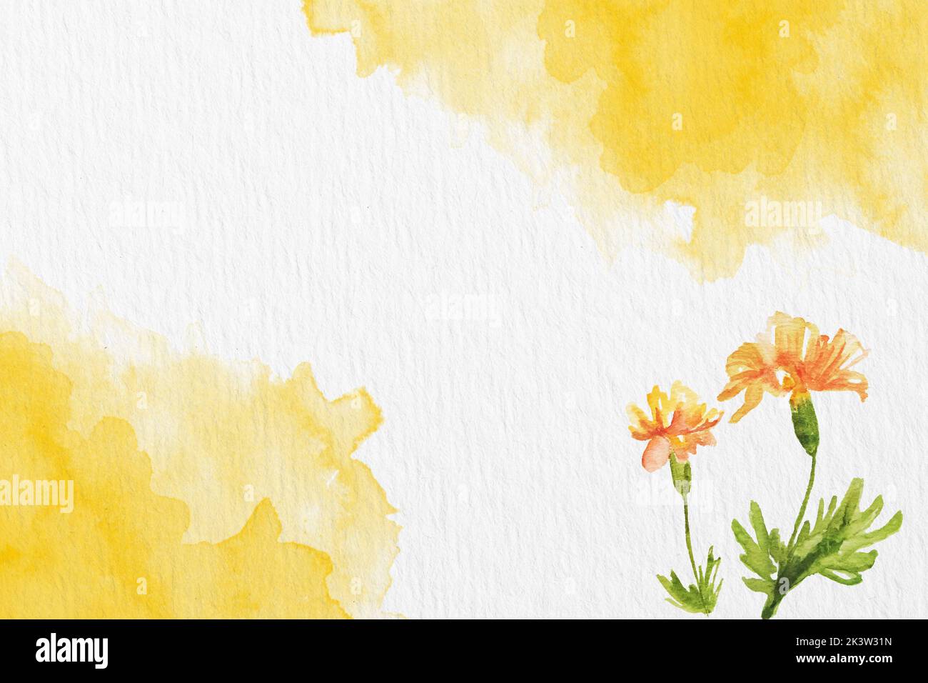 watercolor paper background texture. floral border background in green ...