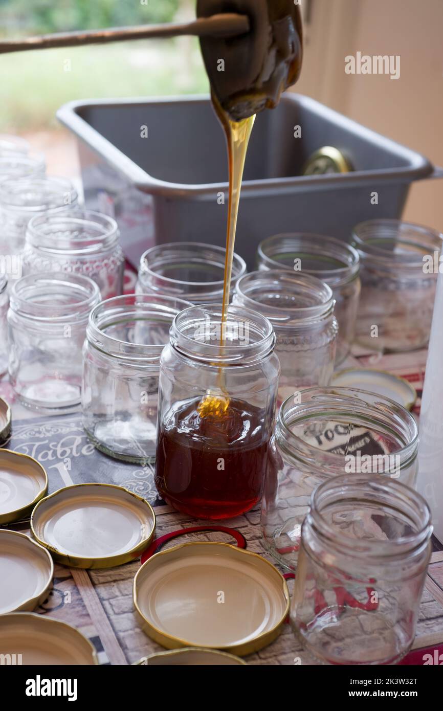 Filling of glass jars of honey on a table Stock Photo - Alamy