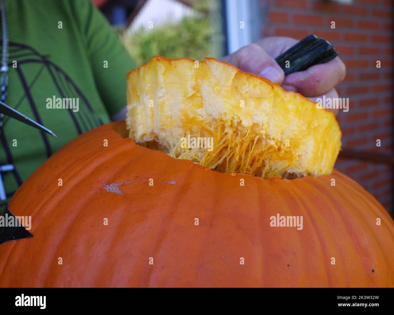 Cutting a pumpkin. The first step into changing it into a jack-o ...