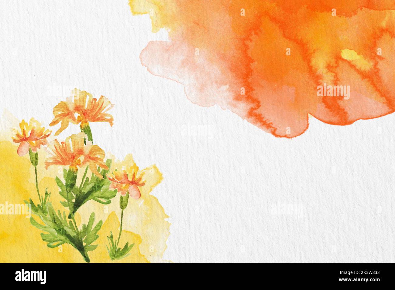 watercolor paper background texture. floral border background in green ...