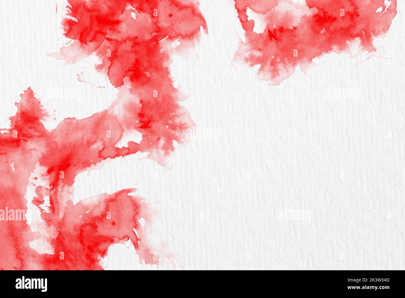 watercolor paper background texture. floral border background in green ...