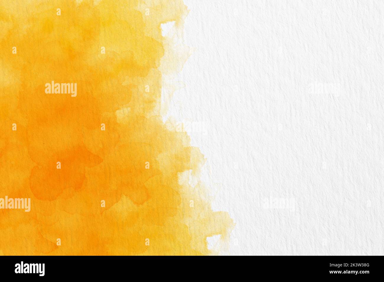 watercolor paper background texture. floral border background in green ...