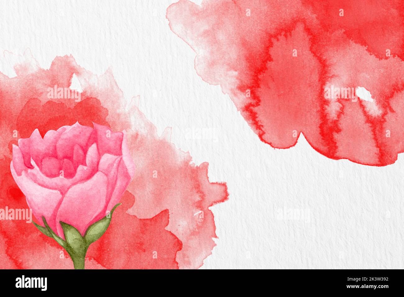 watercolor paper background texture. floral border background in green ...