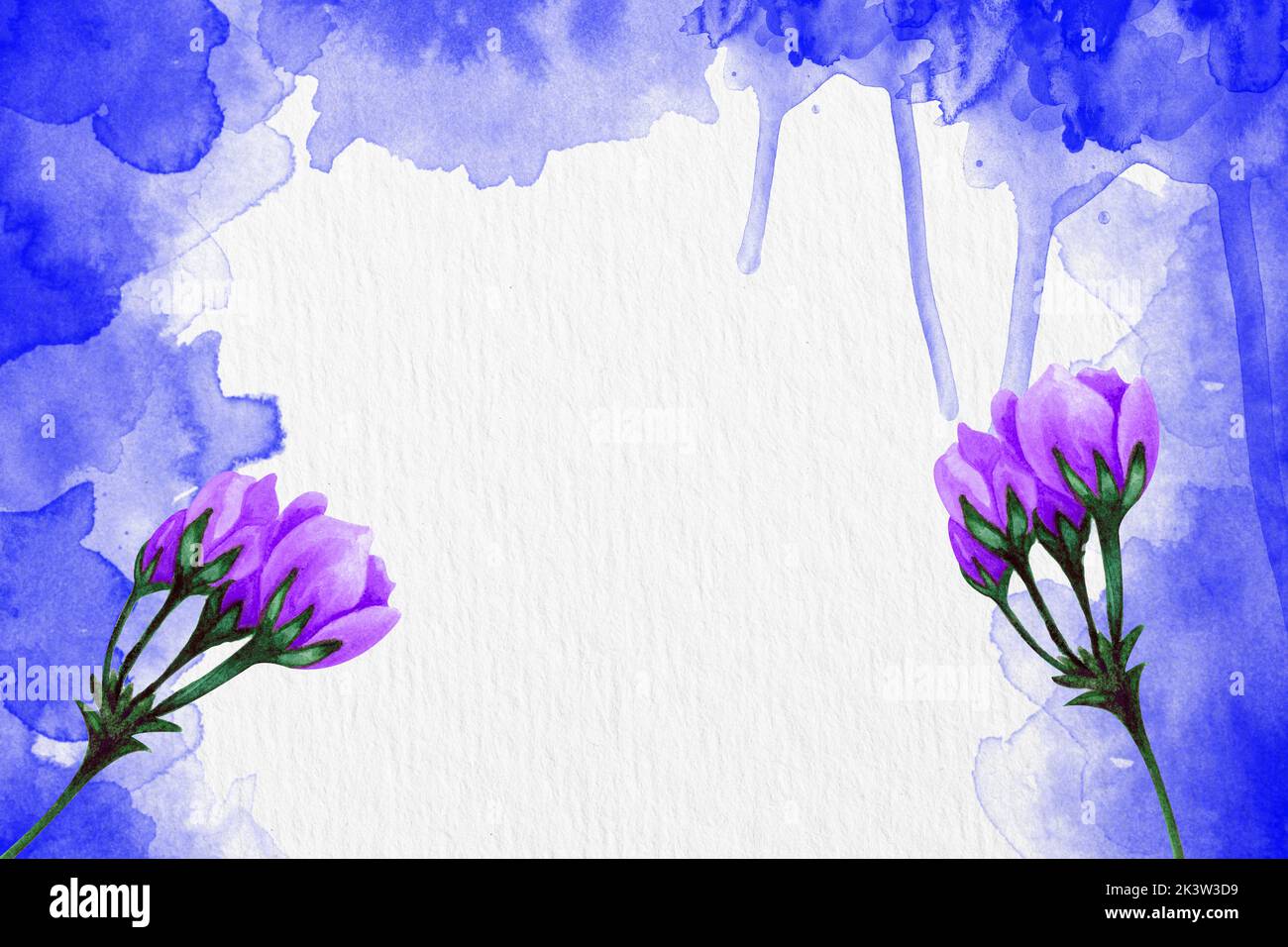 watercolor paper background texture. floral border background in green ...