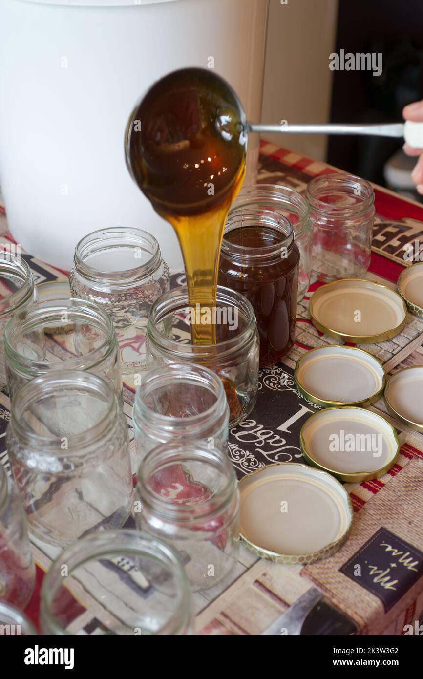 Filling of glass jars of honey on a table Stock Photo - Alamy