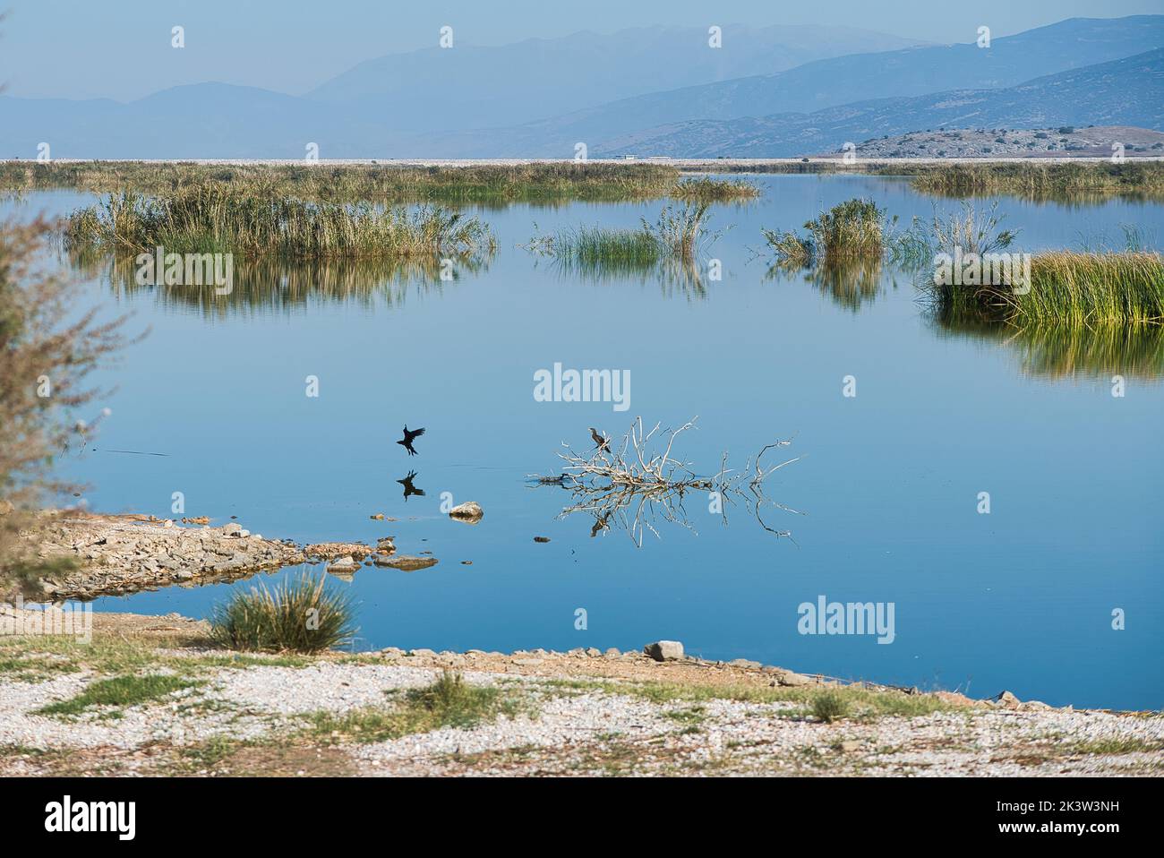 Lake Karla, Greece ,beautiful calm lake with mirages Stock Photo - Alamy