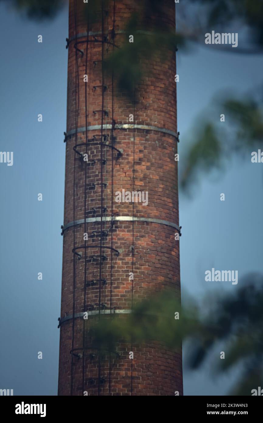 Brick chimney with steps framed by tree branches with a clear sky as ...