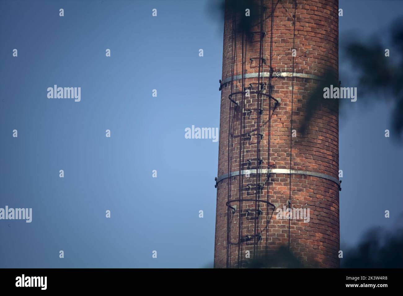 Brick chimney with steps framed by tree branches with a clear sky as ...