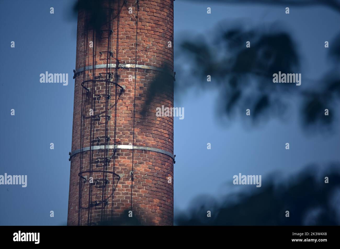 Brick chimney with steps framed by tree branches with a clear sky as ...