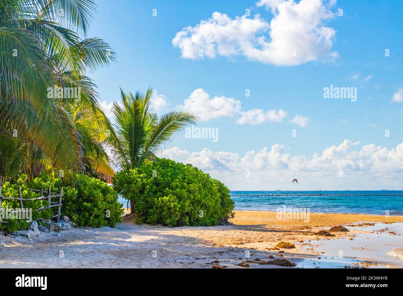Tropical mexican beach landscape panorama with clear turquoise blue ...