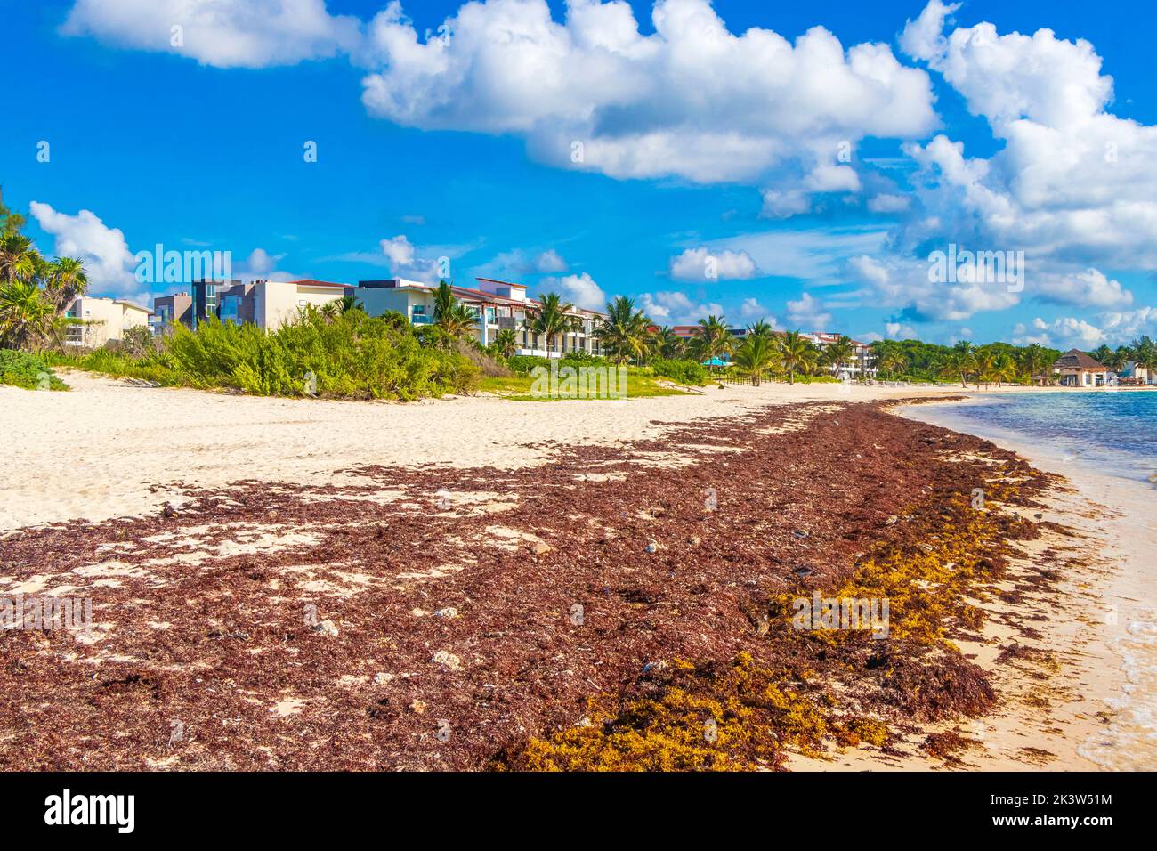 Tropical mexican beach landscape panorama with clear turquoise blue ...