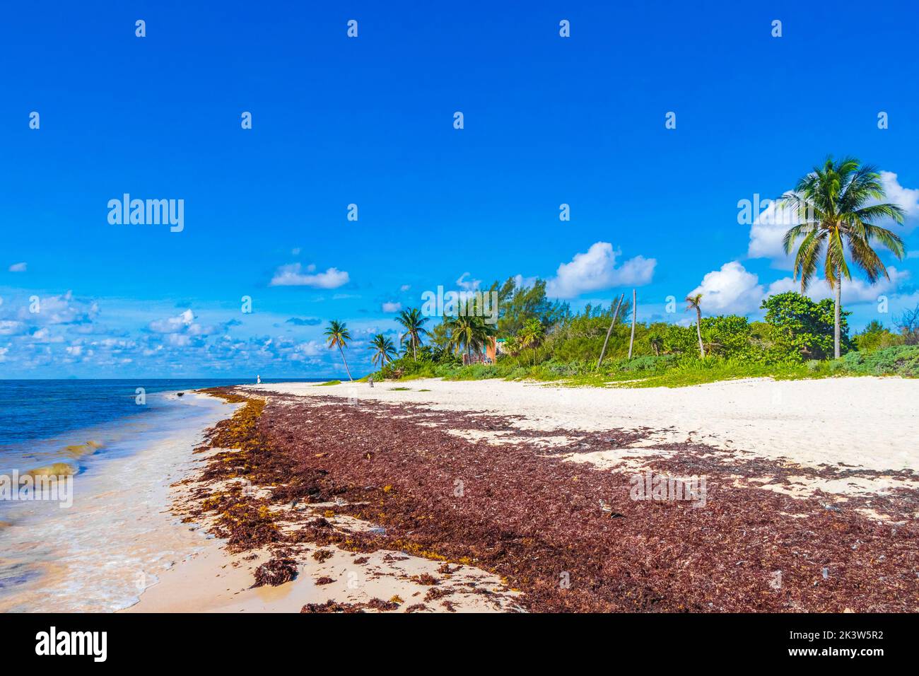 Tropical mexican beach landscape panorama with clear turquoise blue ...