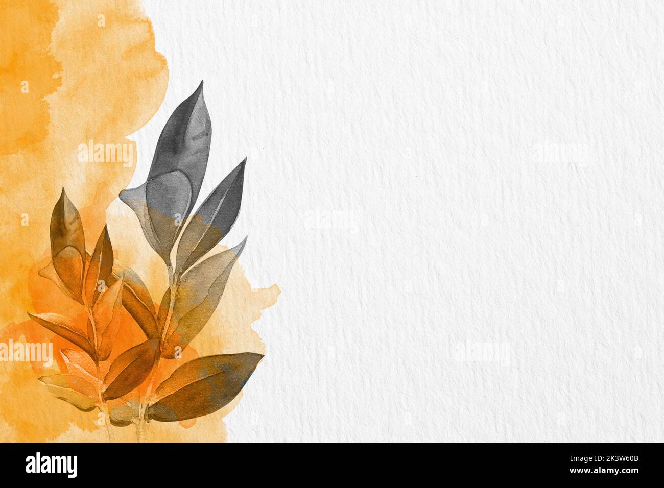 watercolor paper background texture. floral border background in green ...