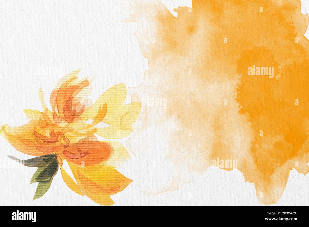 watercolor paper background texture. floral border background in green ...