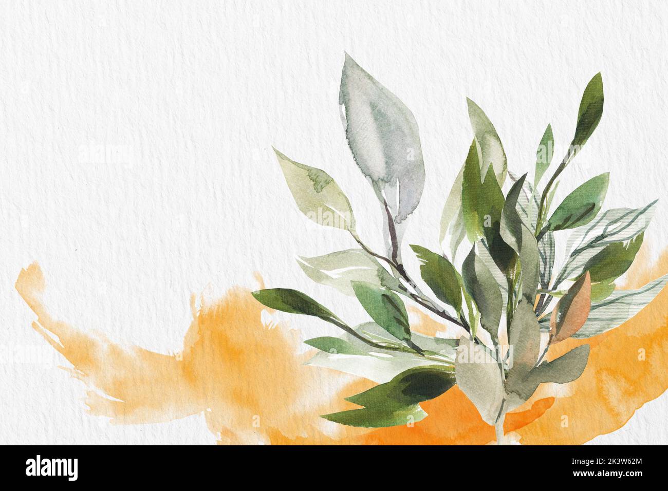 watercolor paper background texture. floral border background in green ...