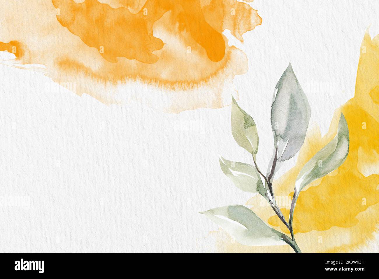 watercolor paper background texture. floral border background in green ...