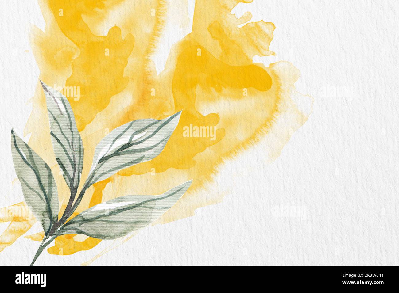 watercolor paper background texture. floral border background in green ...