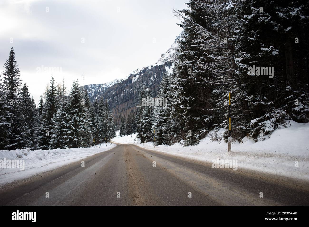 A road surrounded by snowy trees on a cloudy day Stock Photo - Alamy