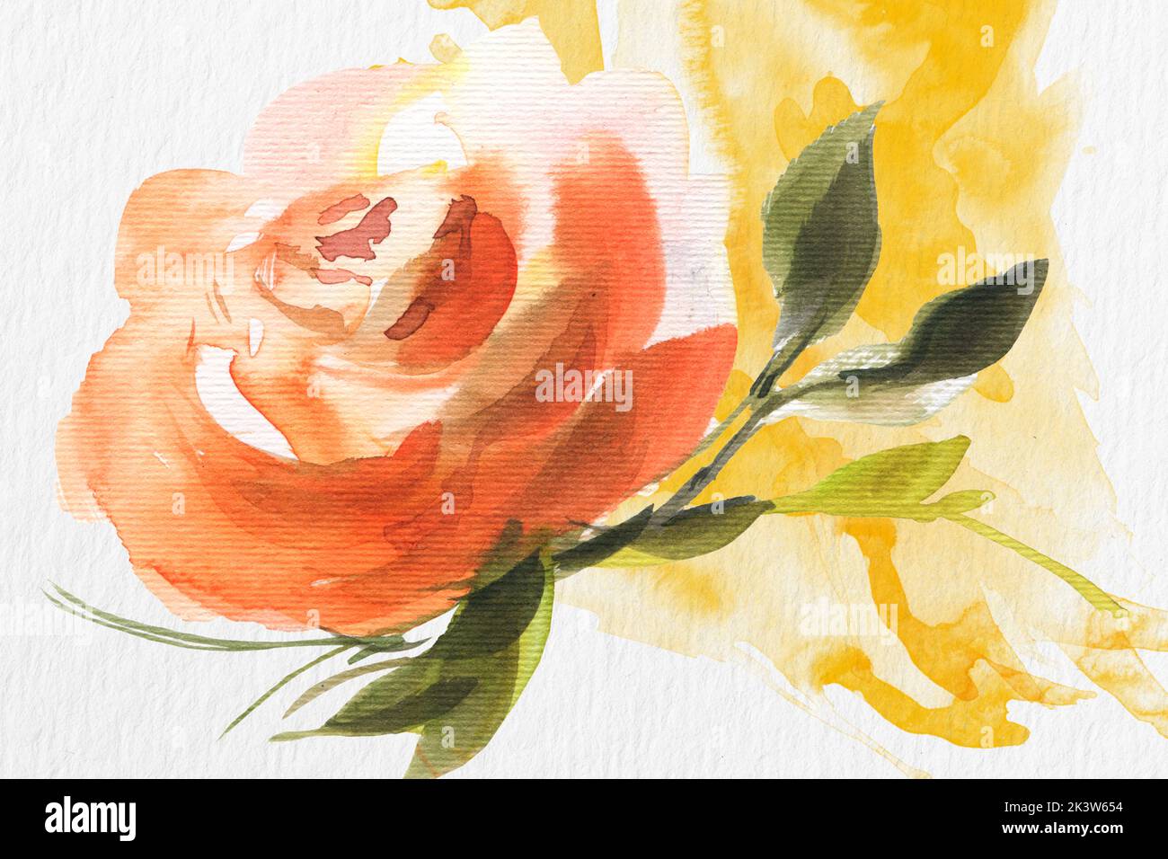 watercolor paper background texture. floral border background in green ...