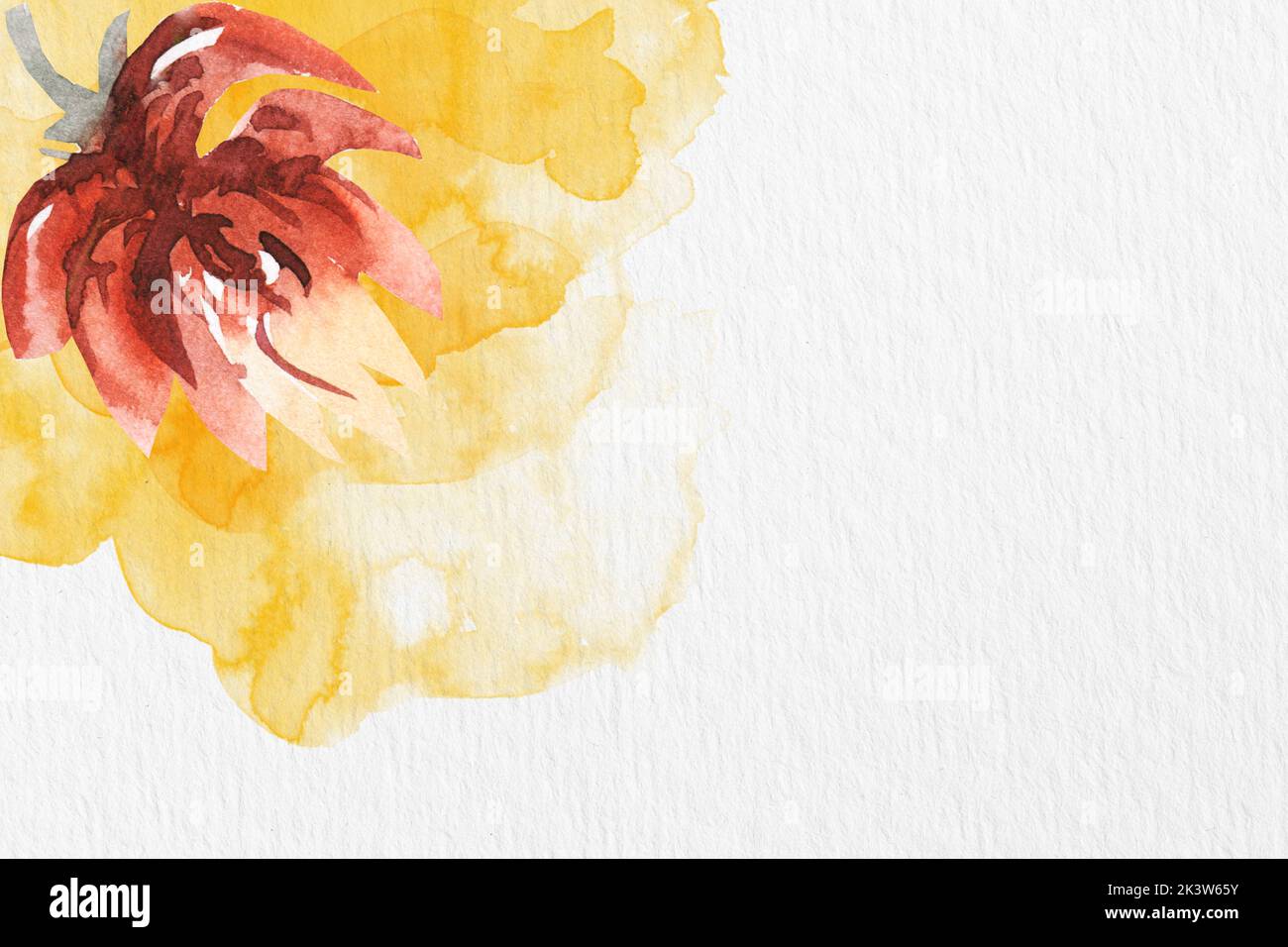 watercolor paper background texture. floral border background in green ...