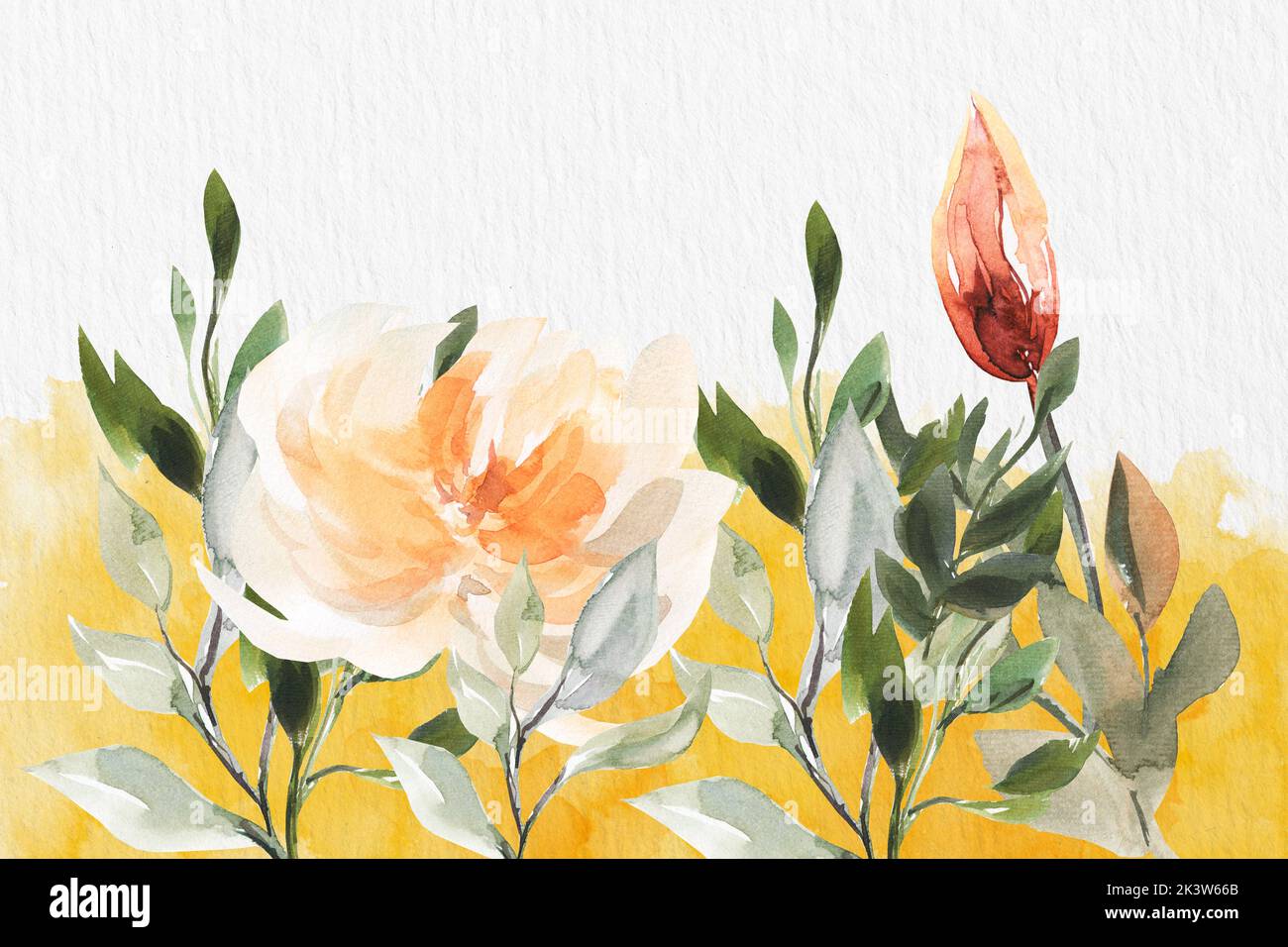 watercolor paper background texture. floral border background in green ...