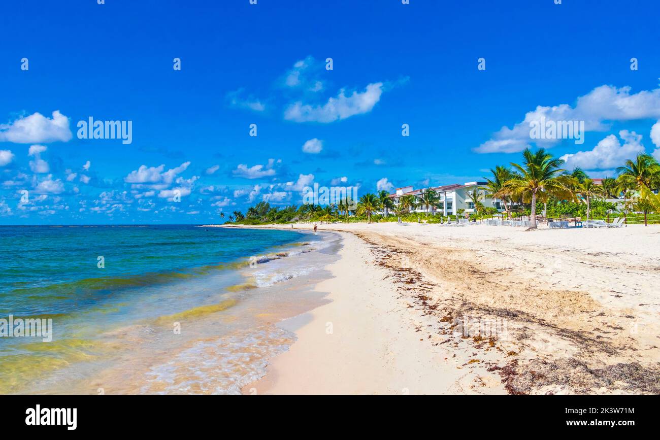Tropical mexican beach landscape panorama with clear turquoise blue ...