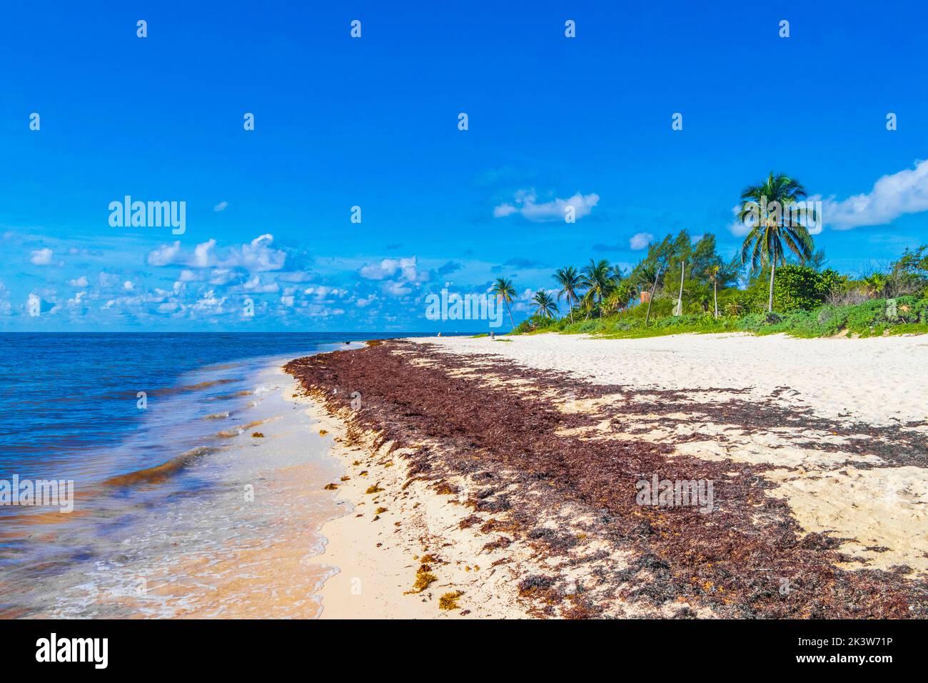 Tropical mexican beach landscape panorama with clear turquoise blue ...
