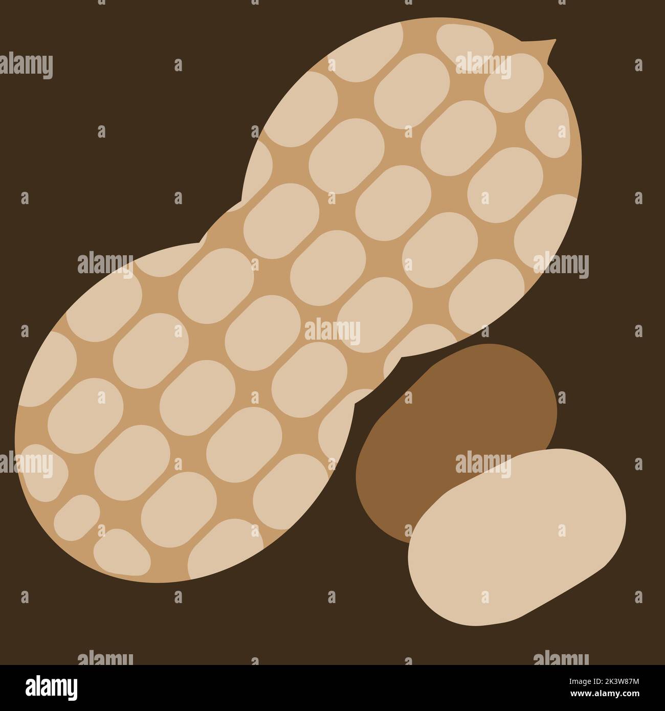 A simple peanut with two nuts, brown and light brown colors, peanut ...