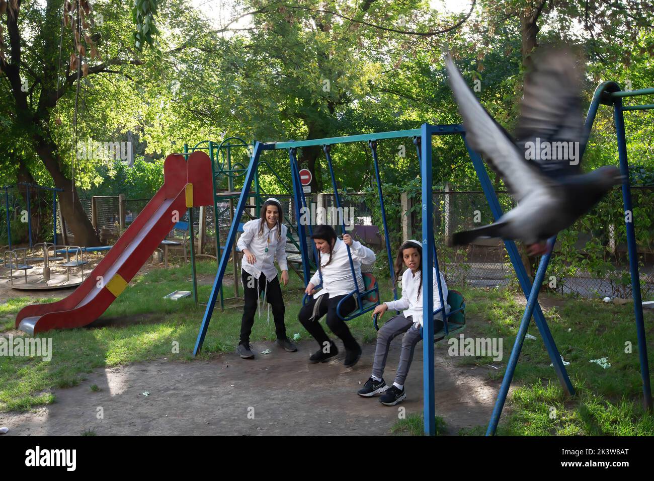 Uman, Ukraine. 26th Sep, 2022. Young Ultra-Orthodox Jewish pilgrims ...
