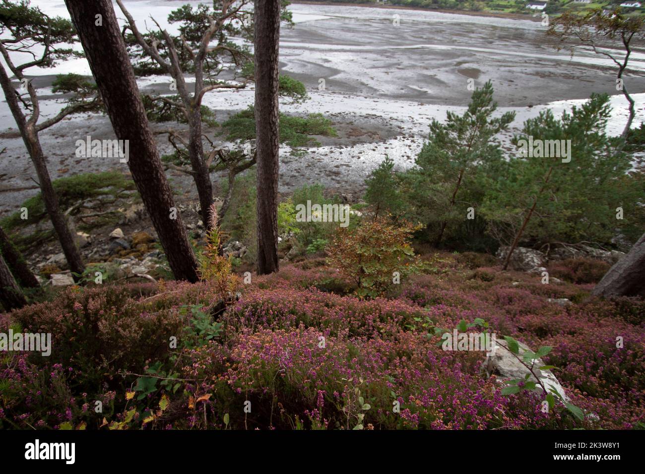 The view of Loch Portree from the path around the Meall or The Lump ...