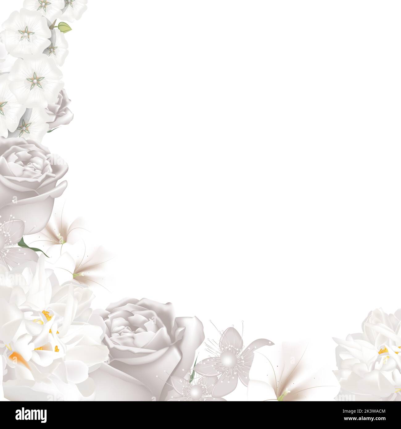 white flowers background illustration - Love white design theme Stock ...