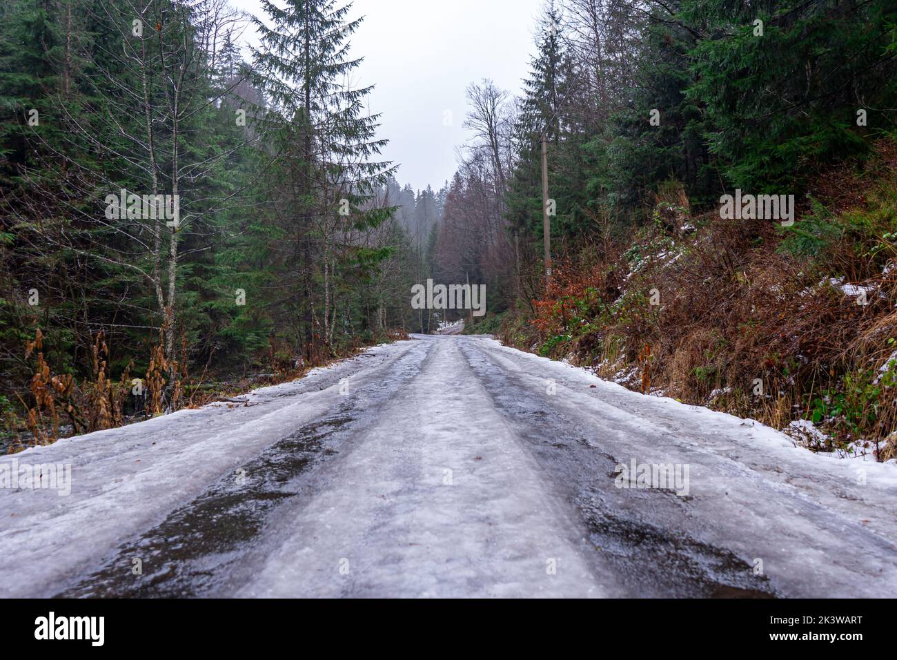 Ice path in the forest Stock Photo - Alamy