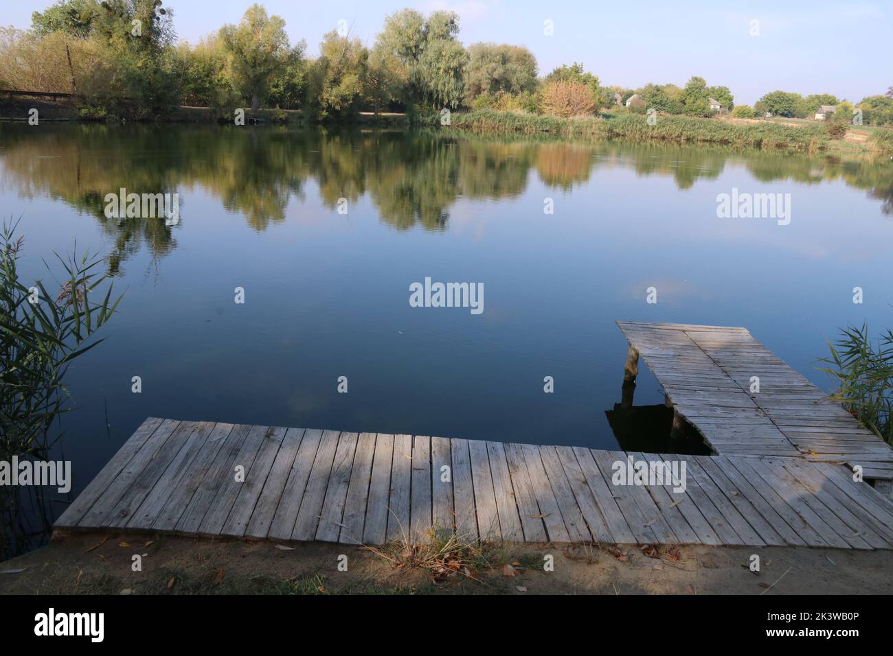 Beautiful lake shore trees hi-res stock photography and images - Alamy