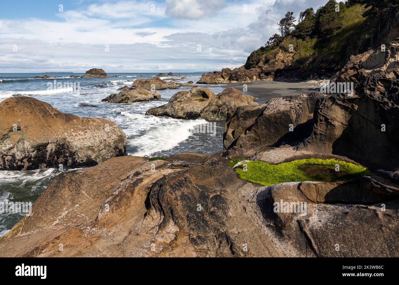 WA22077-00...WASHINGTON - Headland dividing Kalaloch Beach from Beach 3 ...