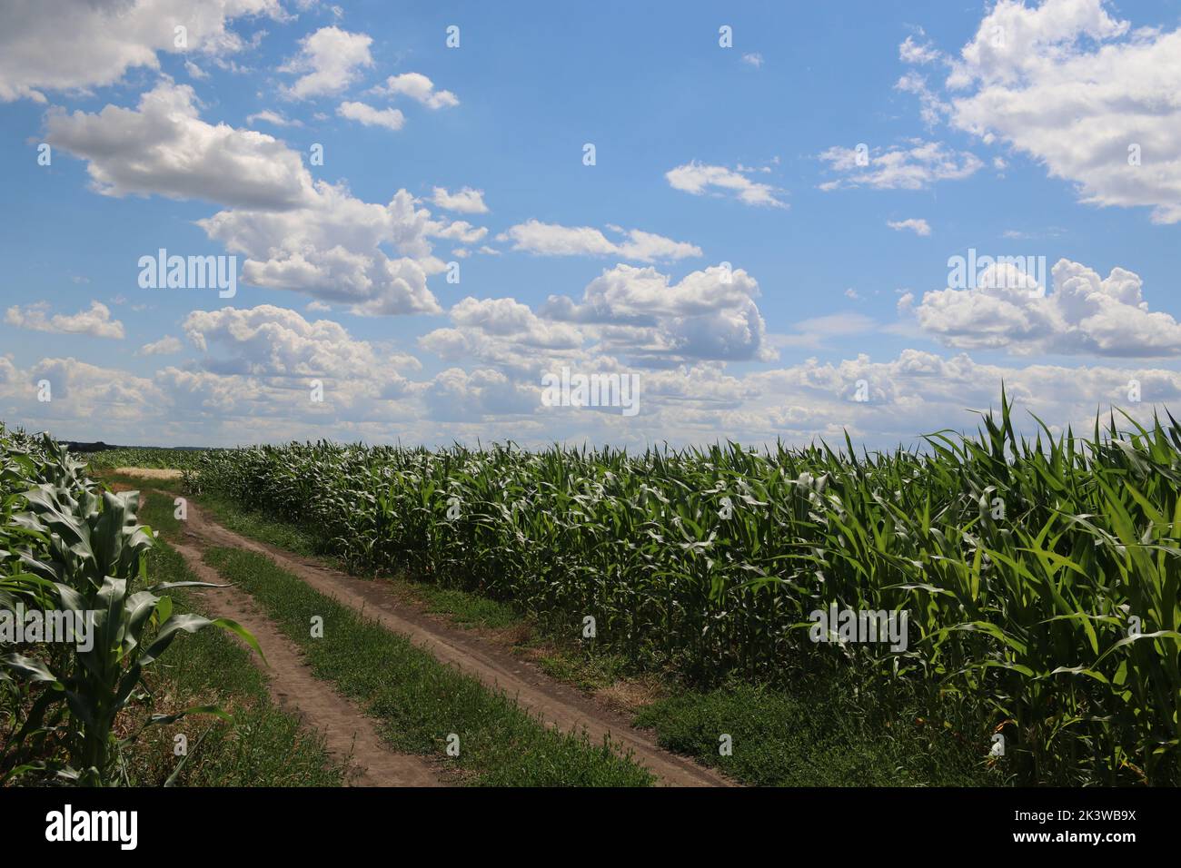 Ukraine agriculture hi-res stock photography and images - Alamy