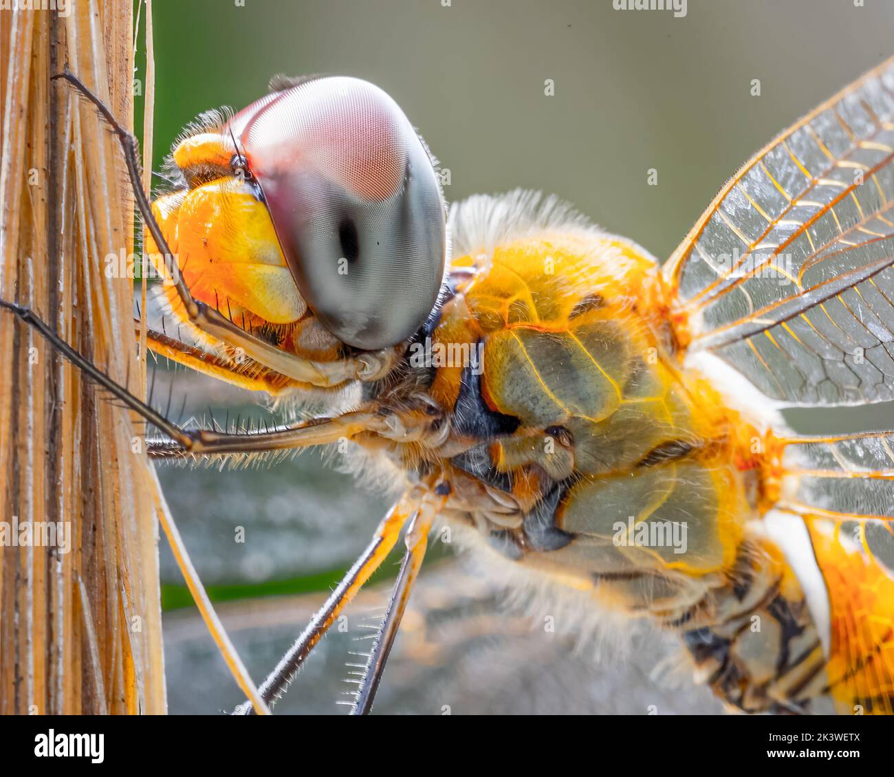 Lower angle shot hi-res stock photography and images - Alamy