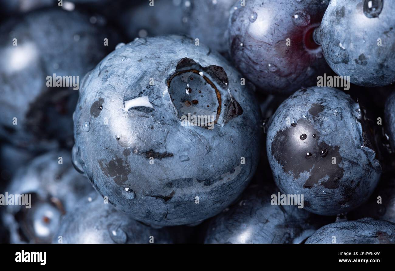 Blueberry fruit in close-up. Ripe fruit, blueberry berries isolated ...