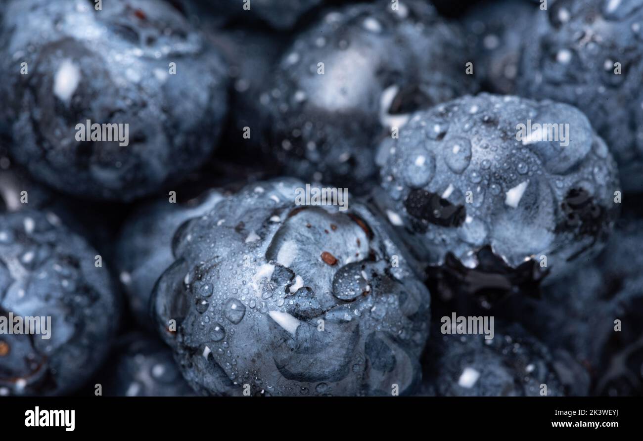 Blueberry fruit in close-up. Ripe fruit, blueberry berries isolated ...